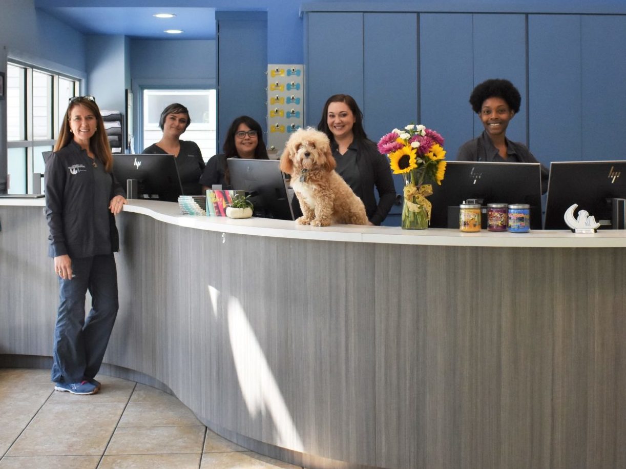 Crescent City Vet | Daycare, Boarding, Bathing & Veterinary Services Crescent City Vet | Daycare, Boarding, Bathing & Veterinary Services
